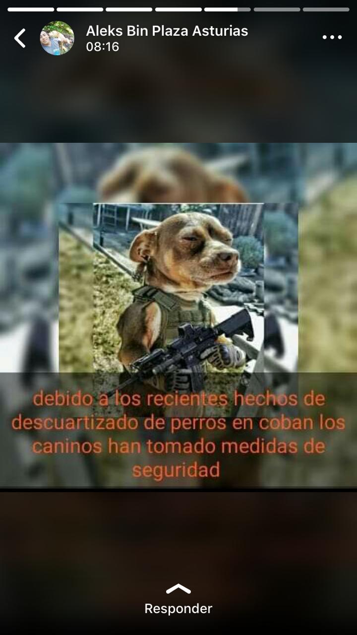 ¿En Cobán comen perros? ¿El rumor se confirma? + MOMAZOS