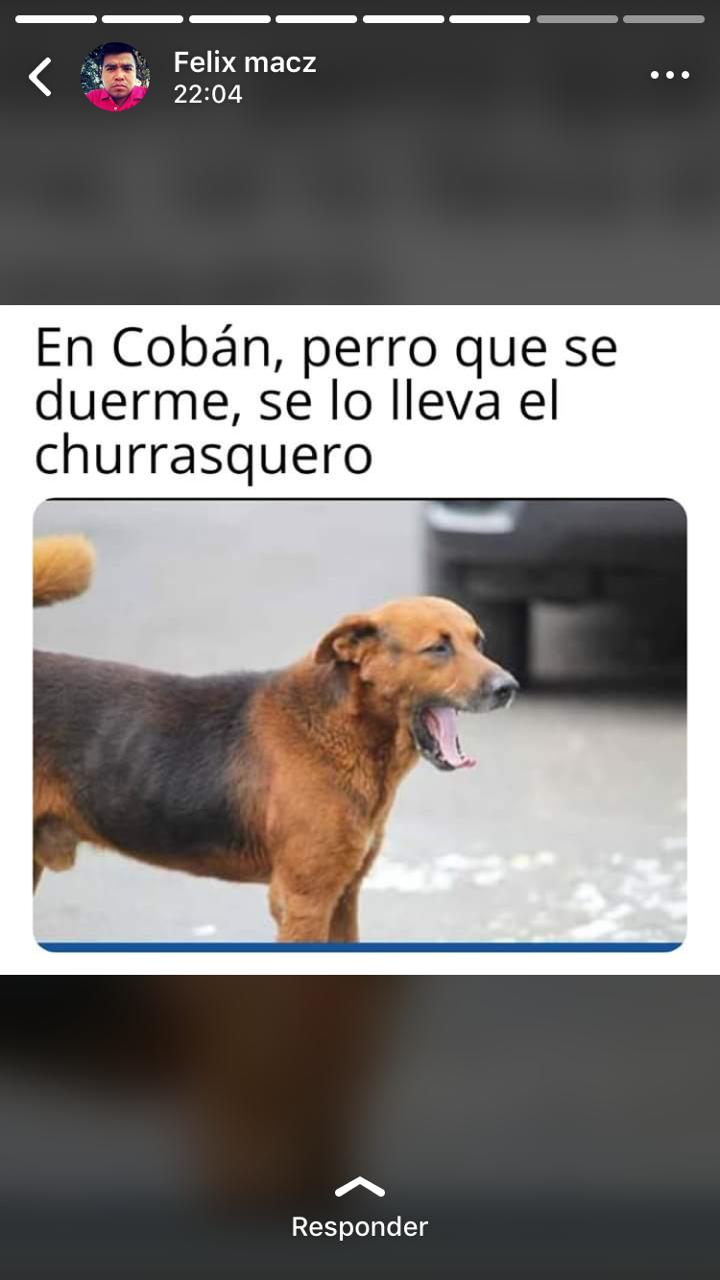 ¿En Cobán comen perros? ¿El rumor se confirma? + MOMAZOS