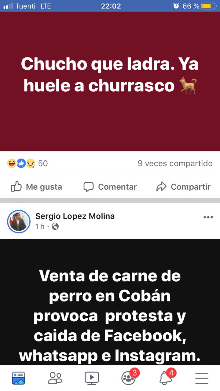 ¿En Cobán comen perros? ¿El rumor se confirma? + MOMAZOS