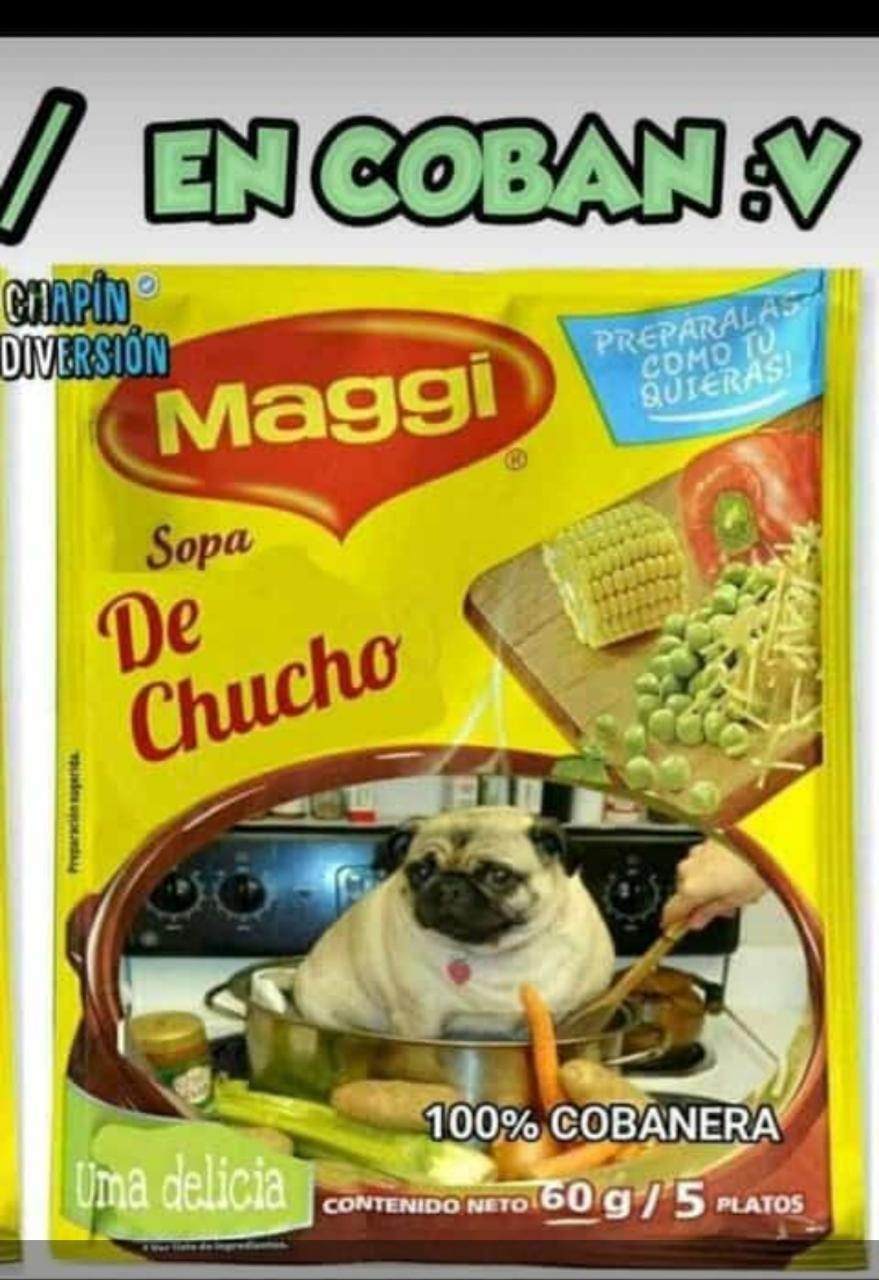 ¿En Cobán comen perros? ¿El rumor se confirma? + MOMAZOS