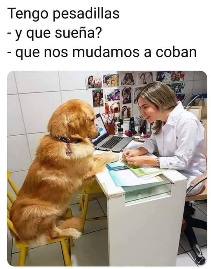 ¿En Cobán comen perros? ¿El rumor se confirma? + MOMAZOS